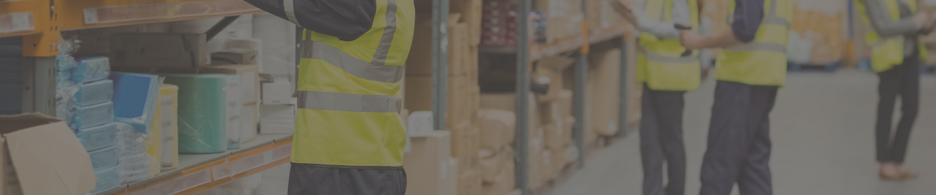 WMS PRO | NetSuite Warehouse Management System